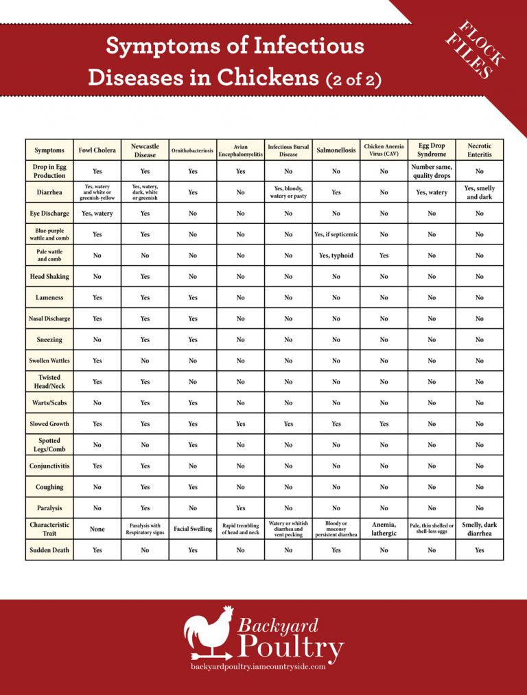 Symptoms of Infectious Diseases in Chickens - Backyard Poultry